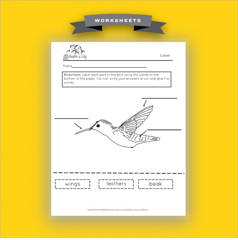 Bird Characteristics - Austin & Lily